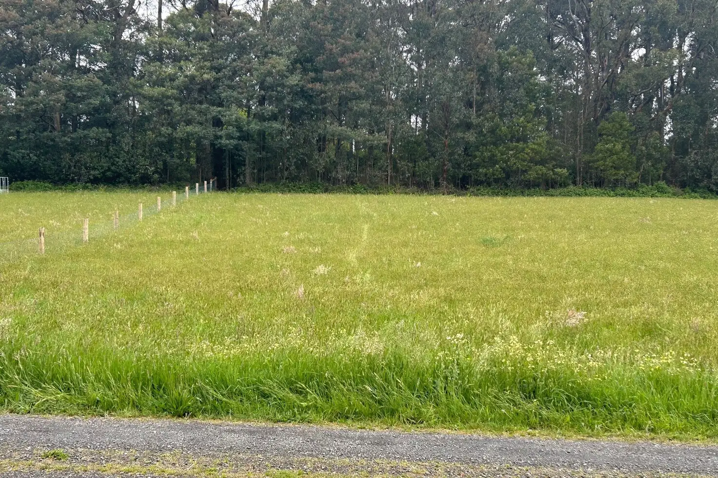 11 Parkside Road, Kinglake VIC 3763 - Land For Sale